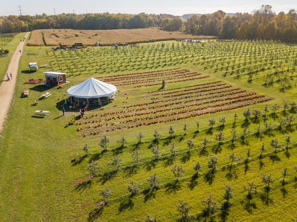 Country Blossom Farm | Cider House, Store, Bakery & Outdoor Activities ...