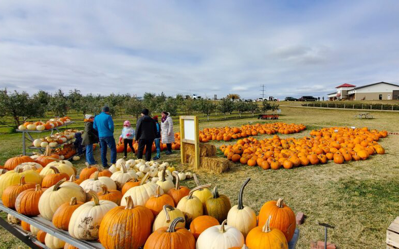 Fall Guide - Explore Alexandria, MN