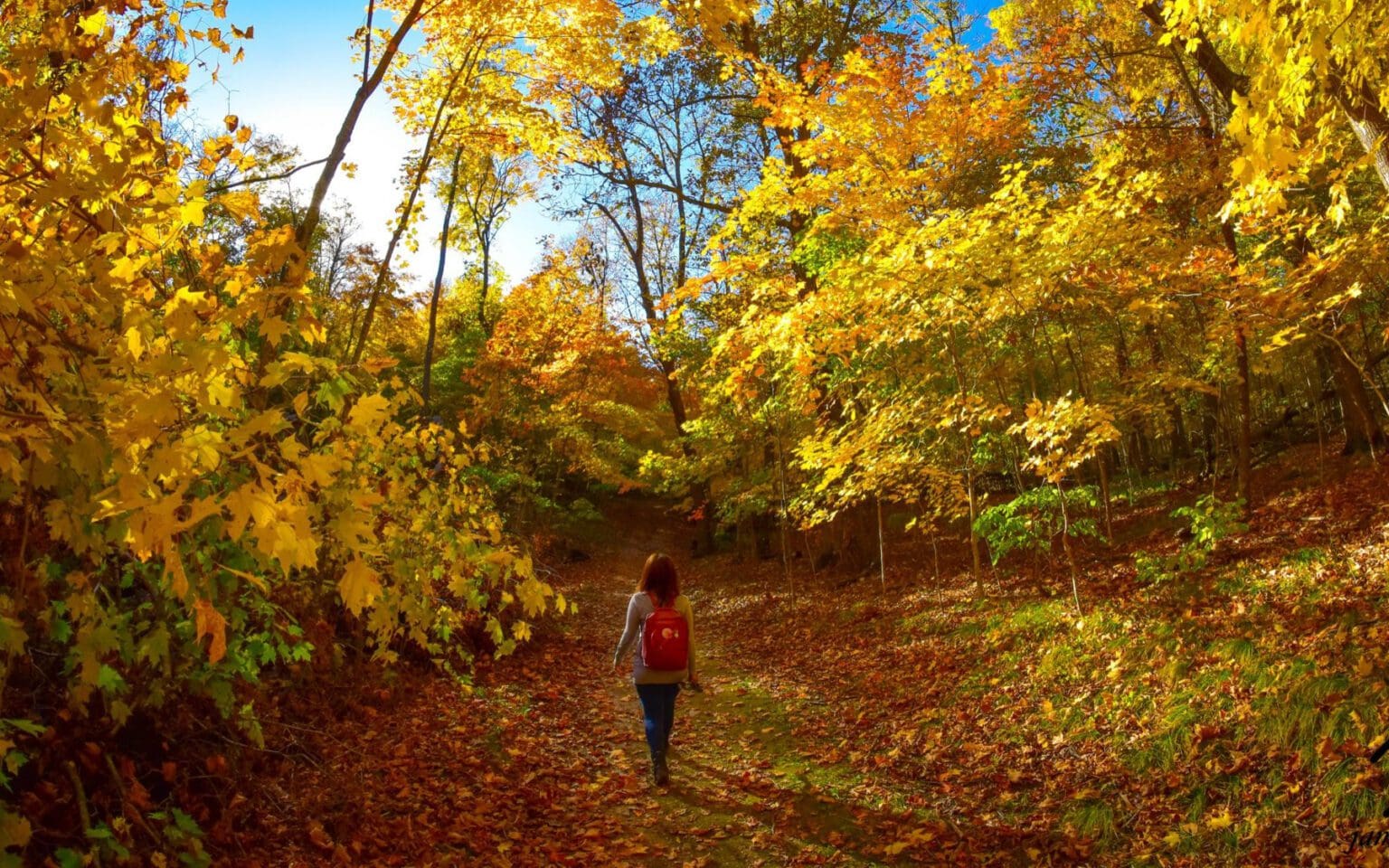 Fall Guide - Explore Alexandria, MN